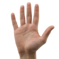 100 Core Hindi Words - HindiPod101